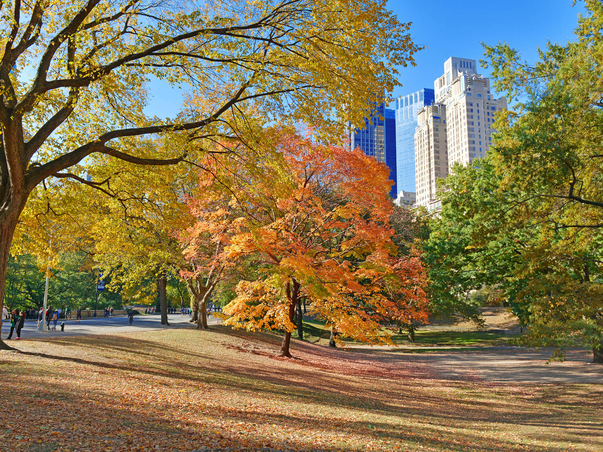 25 reasons you know it's fall in NYC