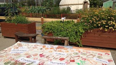 Spitalfields City Farm | Attractions in Spitalfields, London