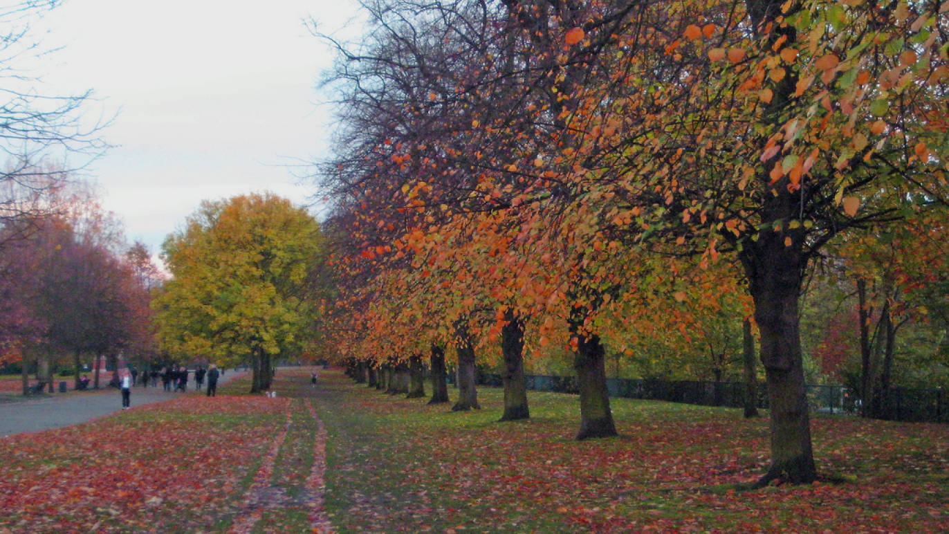 Victoria Park | Attractions in Victoria Park, London