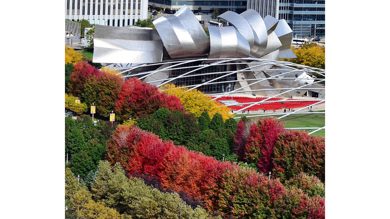 Fall 2014 photos of the leaves turning in Chicago