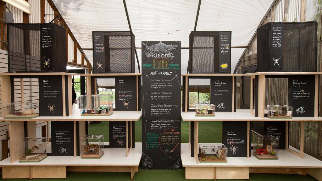 Spider Pavilion at the Natural History Museum (slide show)