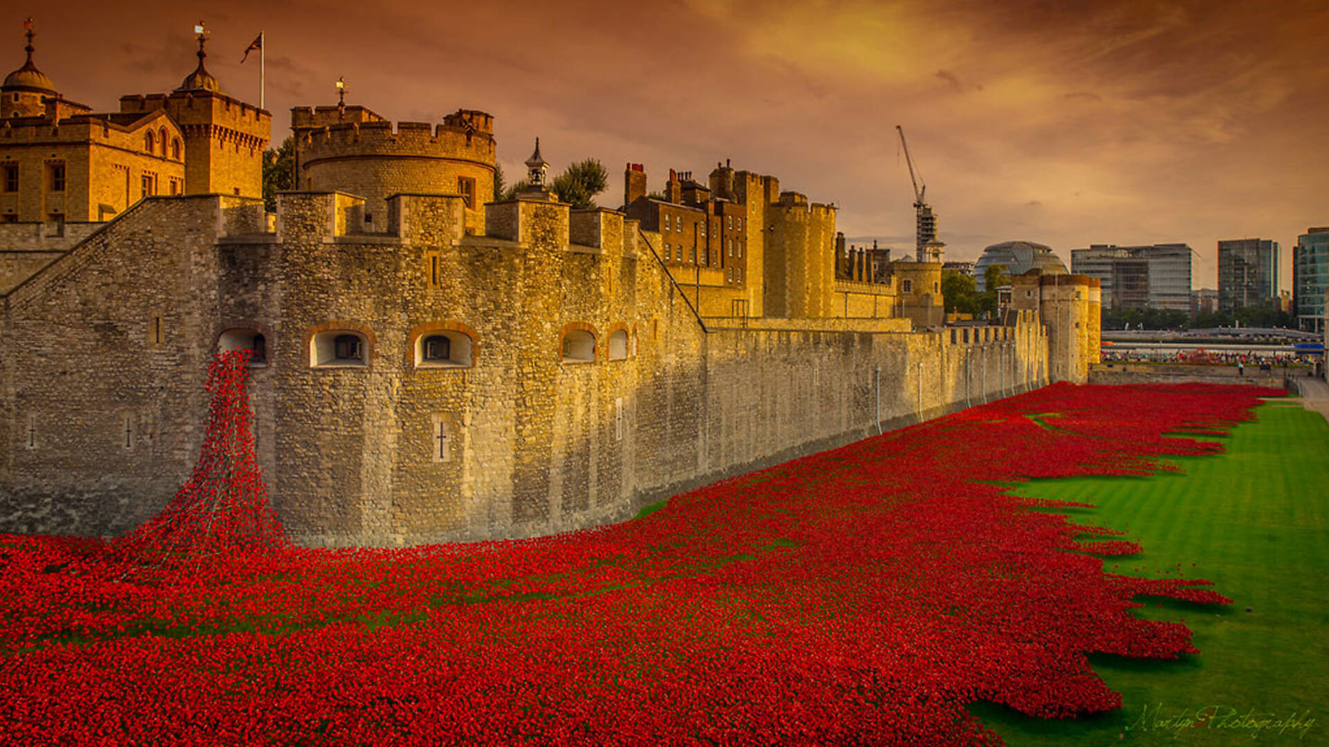 In photos: 2014's Tower of London poppies