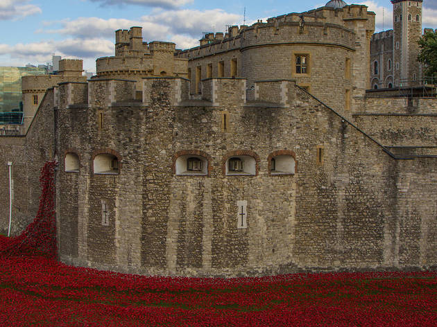 In photos: 2014's Tower of London poppies