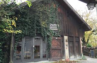 Chäsalp | Restaurants in Zurich, Switzerland