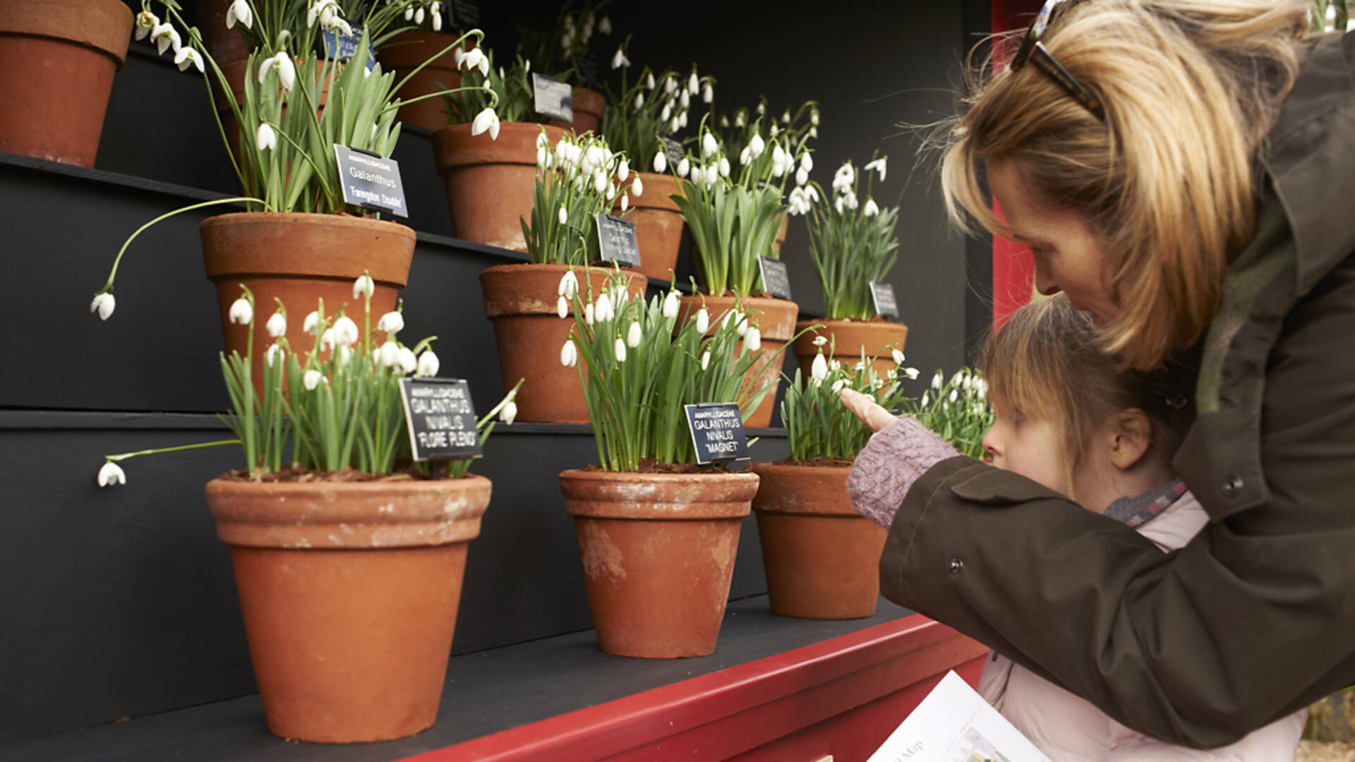 Snowdrop Days | Things to do in London