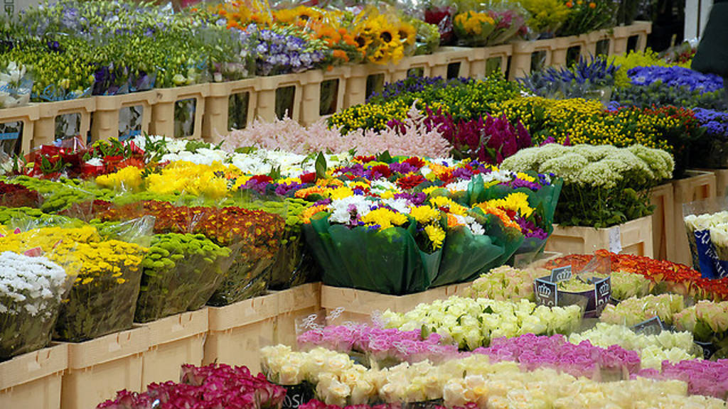 Marché International de Rungis | Shopping in Paris et sa banlieue, Paris