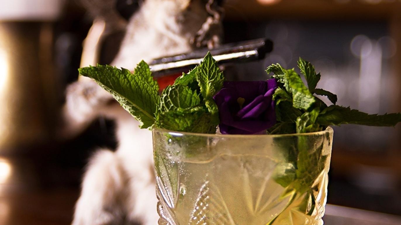 The Maven | Bars and pubs in Leeds