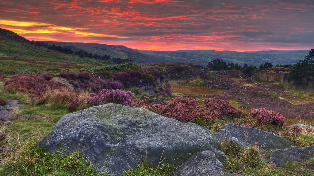 22 Best Things to Do in Leeds Right Now