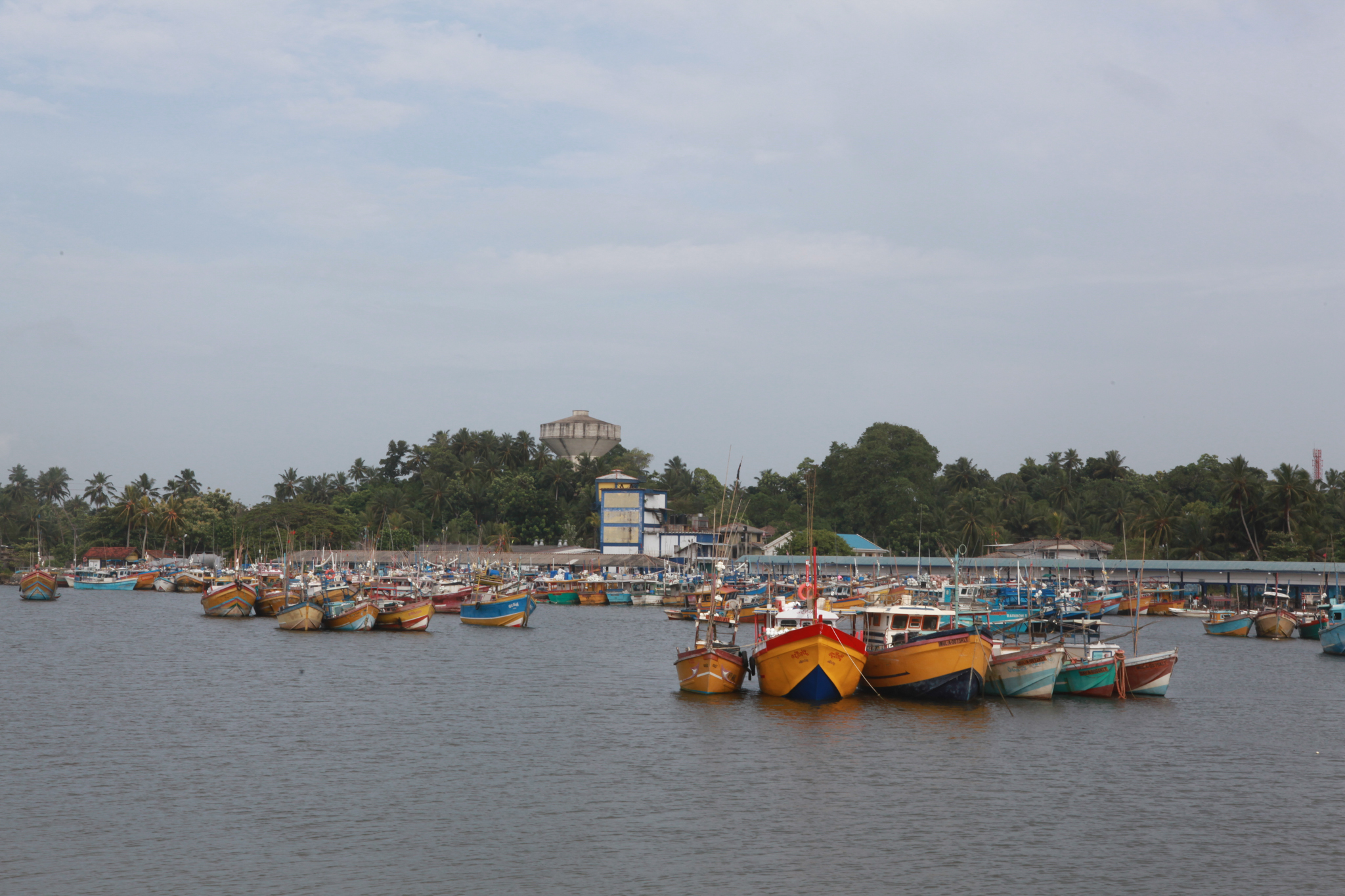 Beruwala Beach | Things to do in Beruwala, Sri Lanka