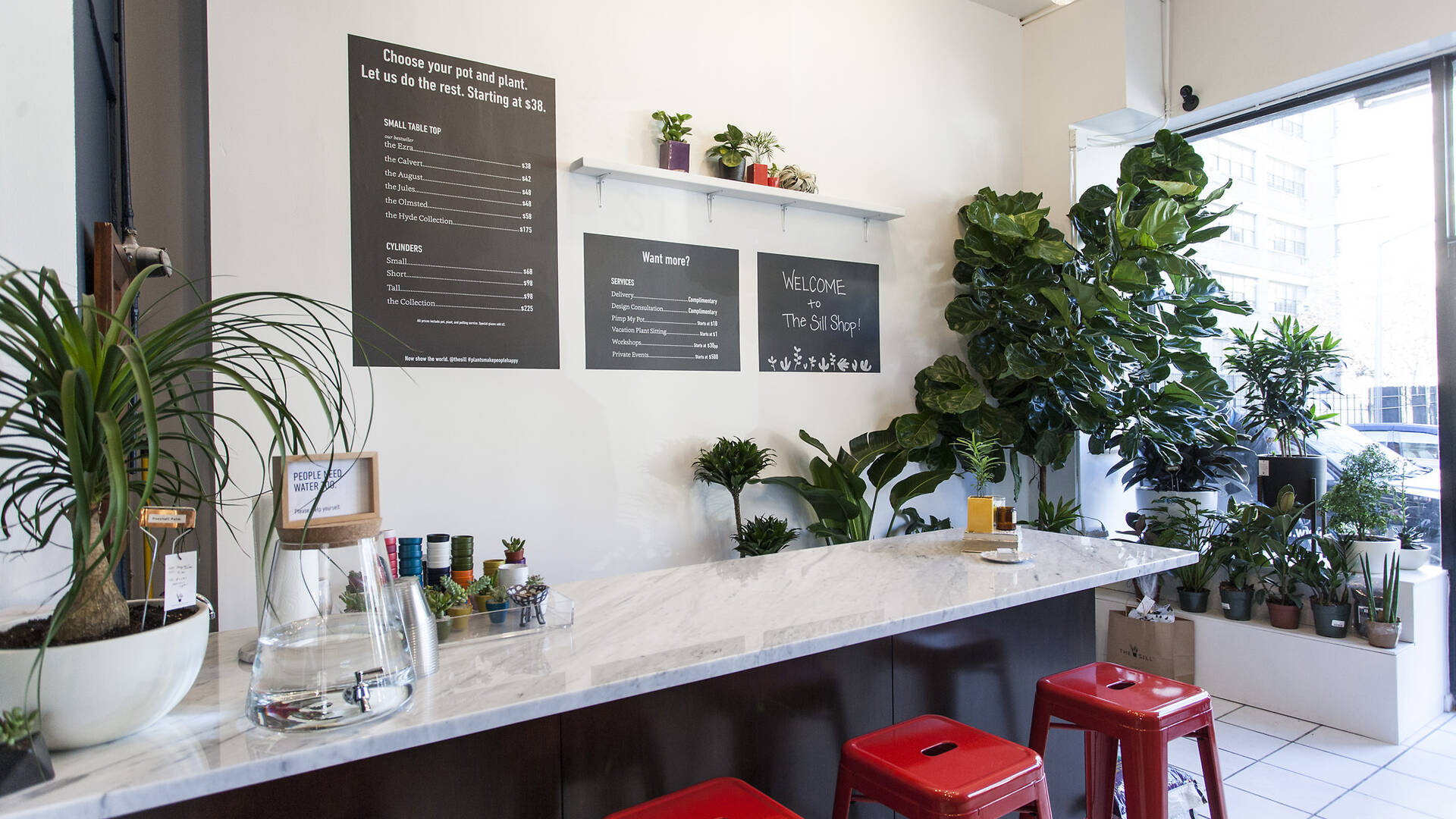 The Sill | Shopping in Lower East Side, New York