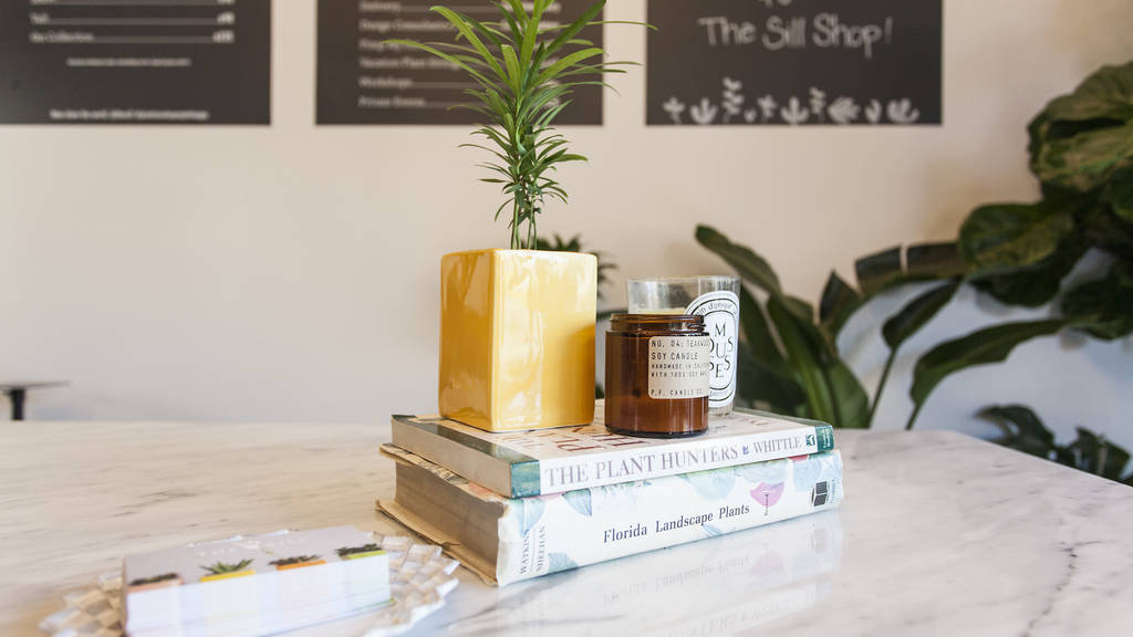 The Sill | Shopping in Lower East Side, New York