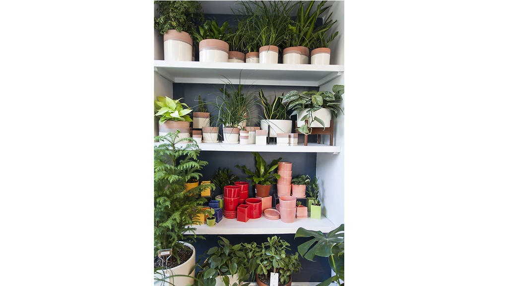 The Sill | Shopping in Lower East Side, New York