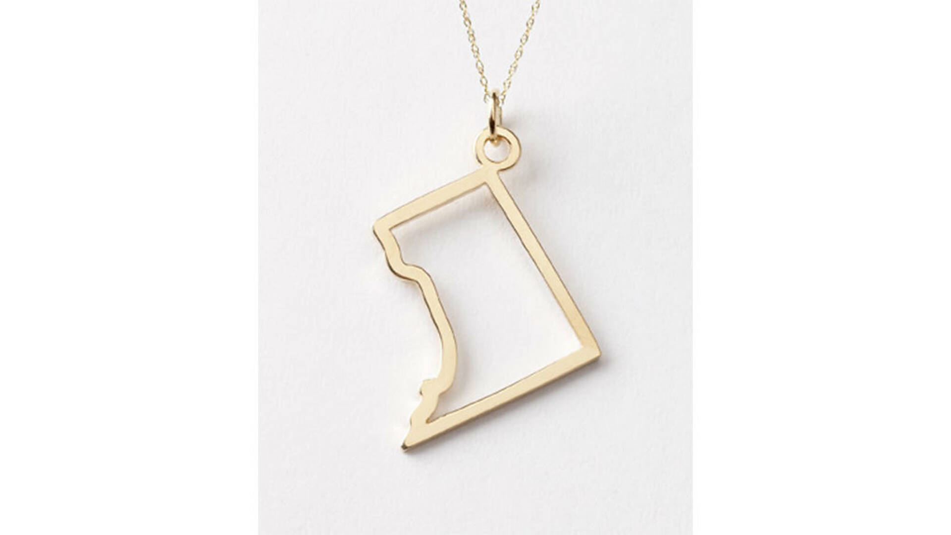 Unique gift guide for Washington DC lovers on your list