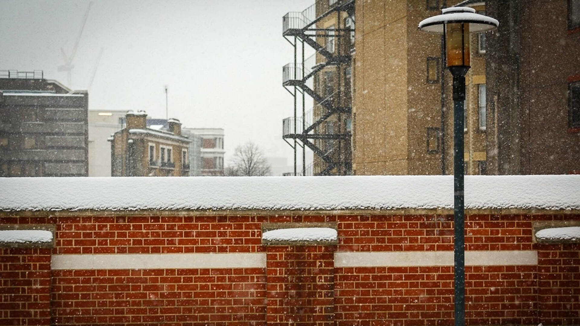 36 peaceful pictures of London in the snow