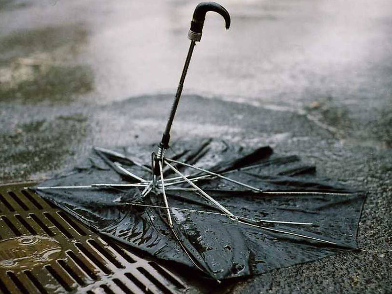 Meet the broken umbrellas of New York
