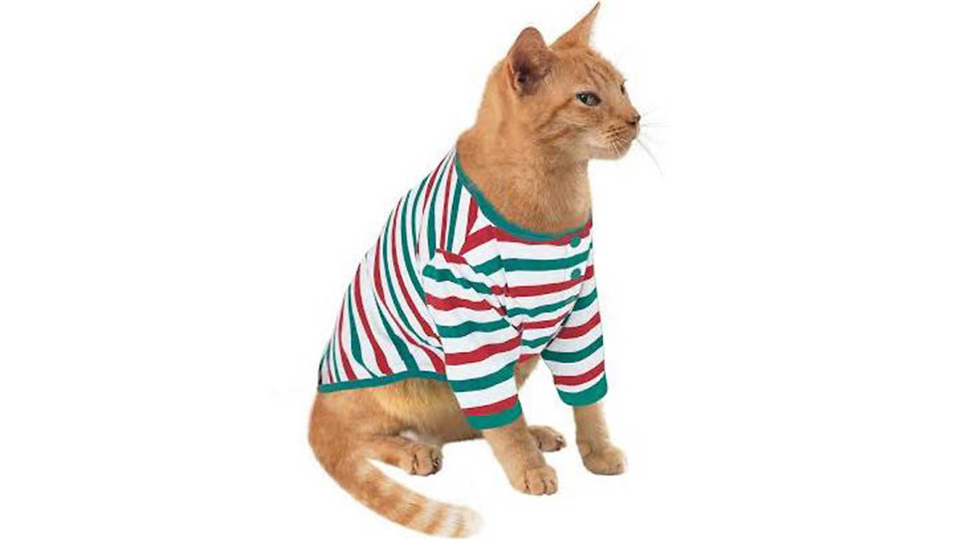 Best cat costumes for the holidays