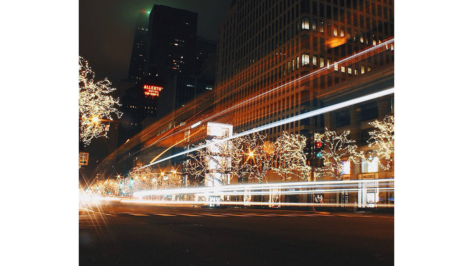 Photos of the Chicago Loop, Lincoln Park Zoo during Christmas