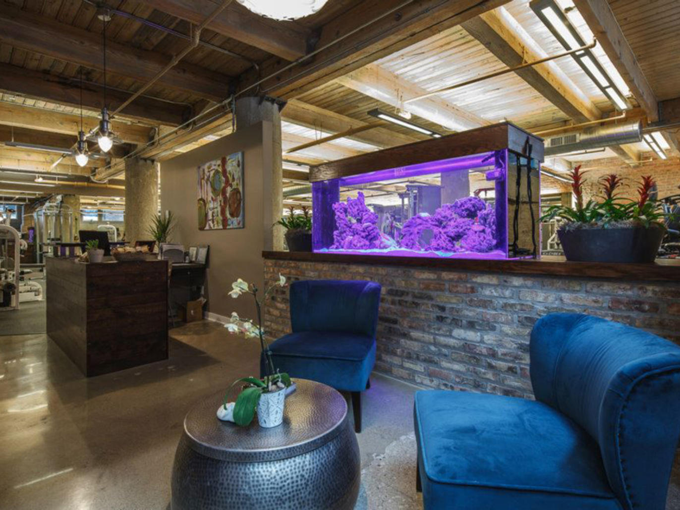 20 Best Gyms in Chicago For Getting in Shape