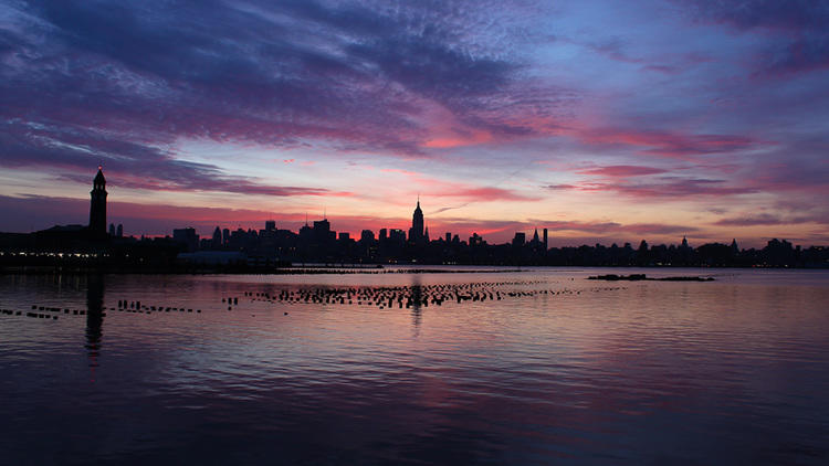 21 spectacular photos of the sunrise in NYC