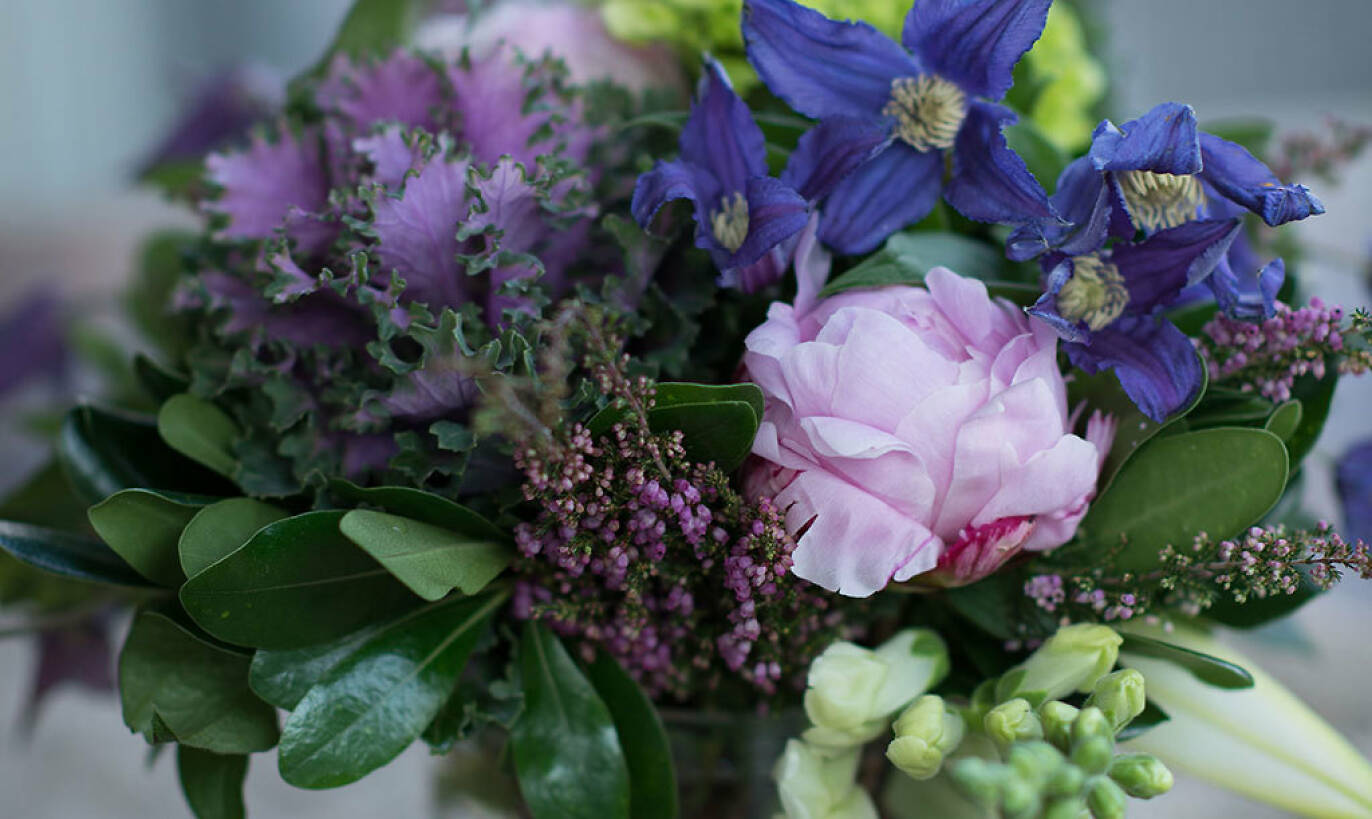Top florist picks in Washington DC - best DC flower shops