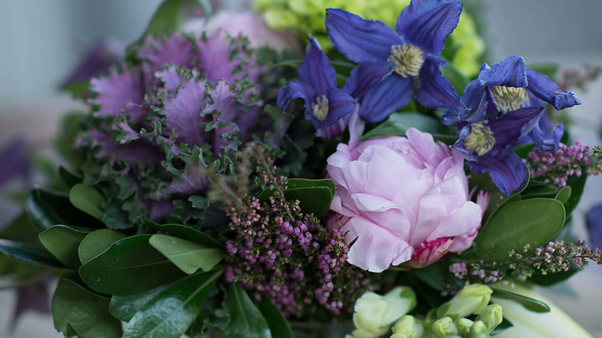 Top florist picks in Washington DC - best DC flower shops