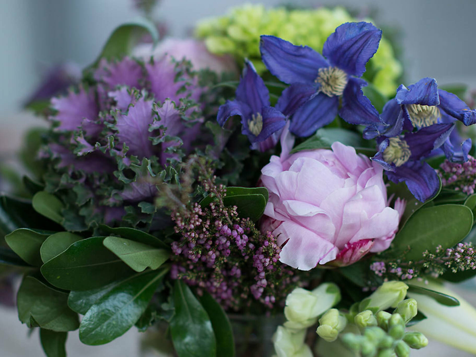 Top florist picks in Washington DC - best DC flower shops