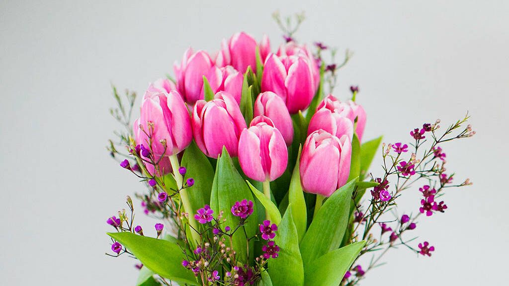Top florist picks in Washington DC - best DC flower shops