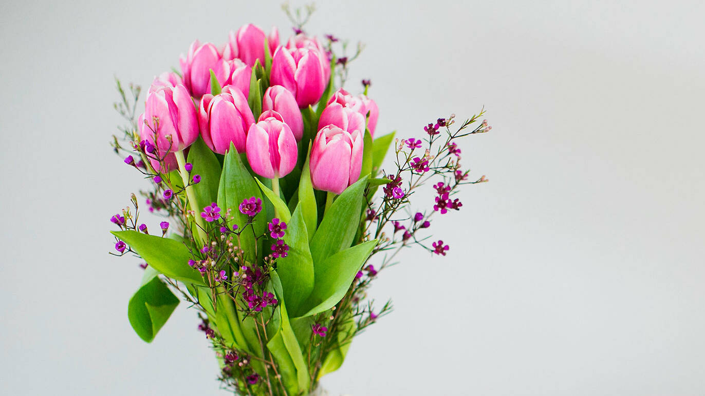 Top florist picks in Washington DC - best DC flower shops
