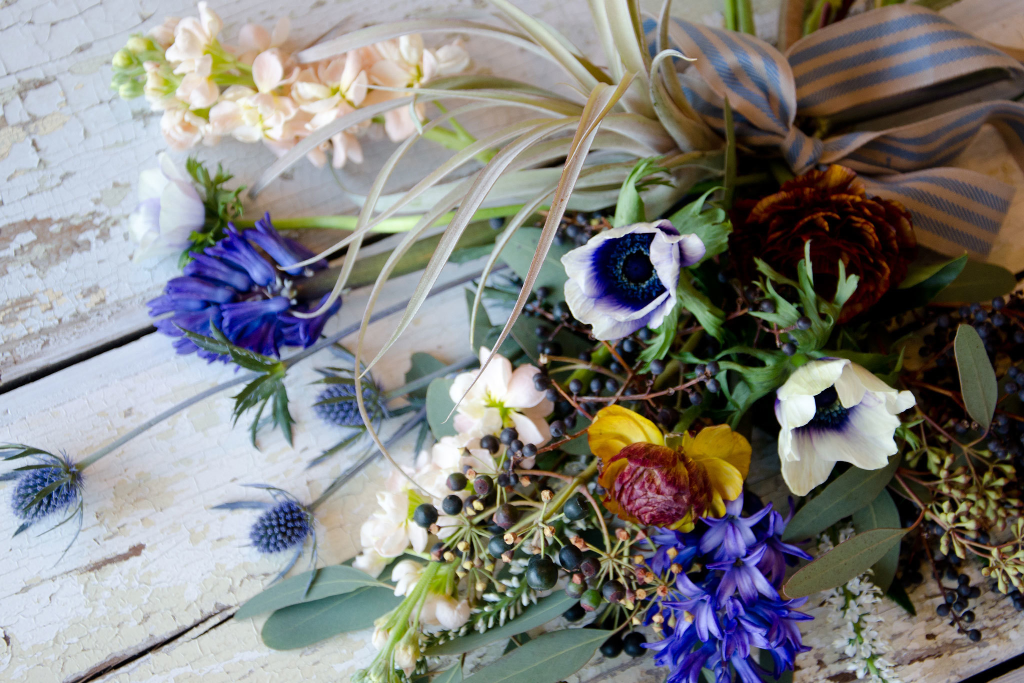 Studio Choo | Shopping in South San Francisco, San Francisco