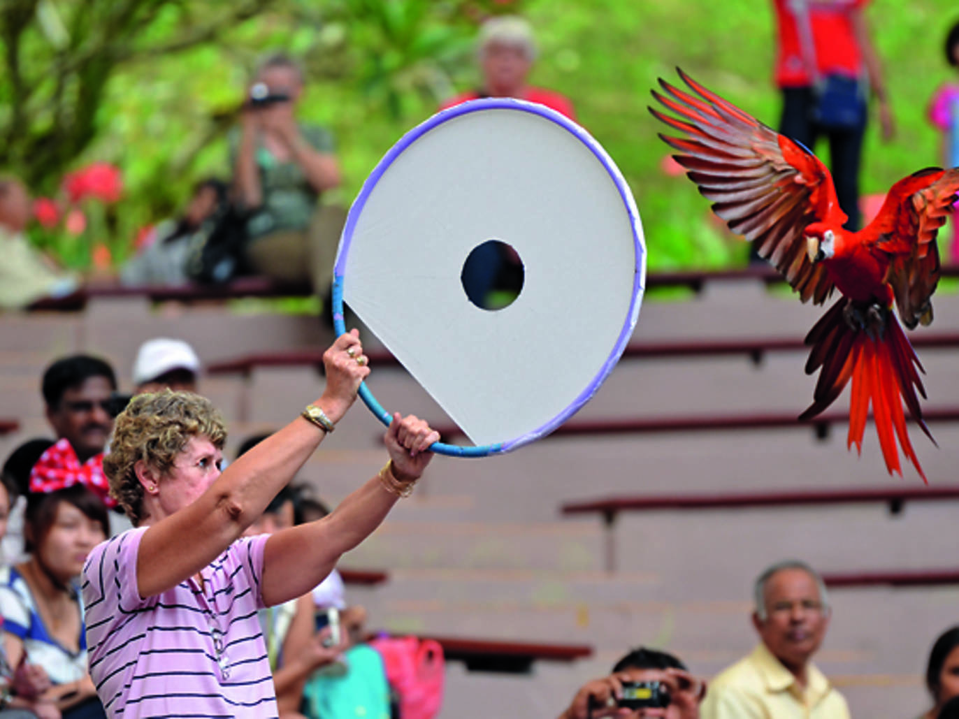 20 Best Kid-friendly Excursions in Singapore