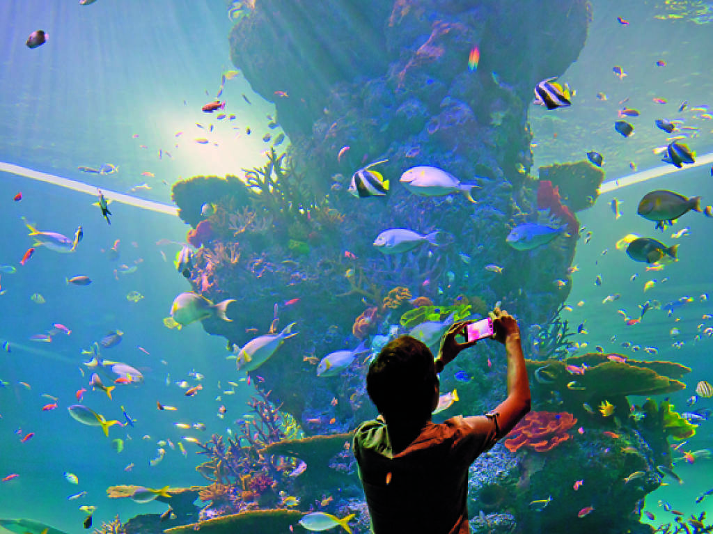Sentosa Guide: Things To Do, Eat, Drink and Shop