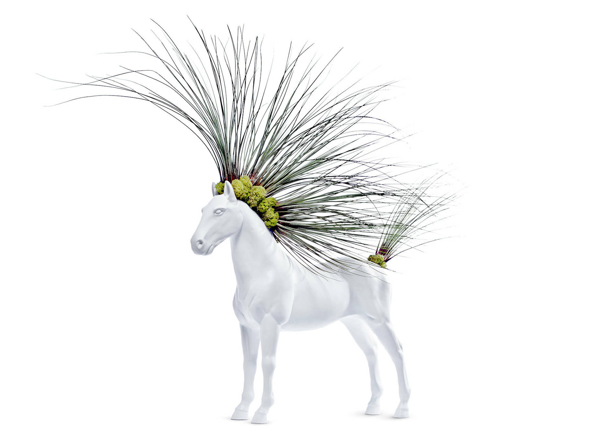 10 Flower Shops in Miami For Bouquets, Arrangements and Gifts