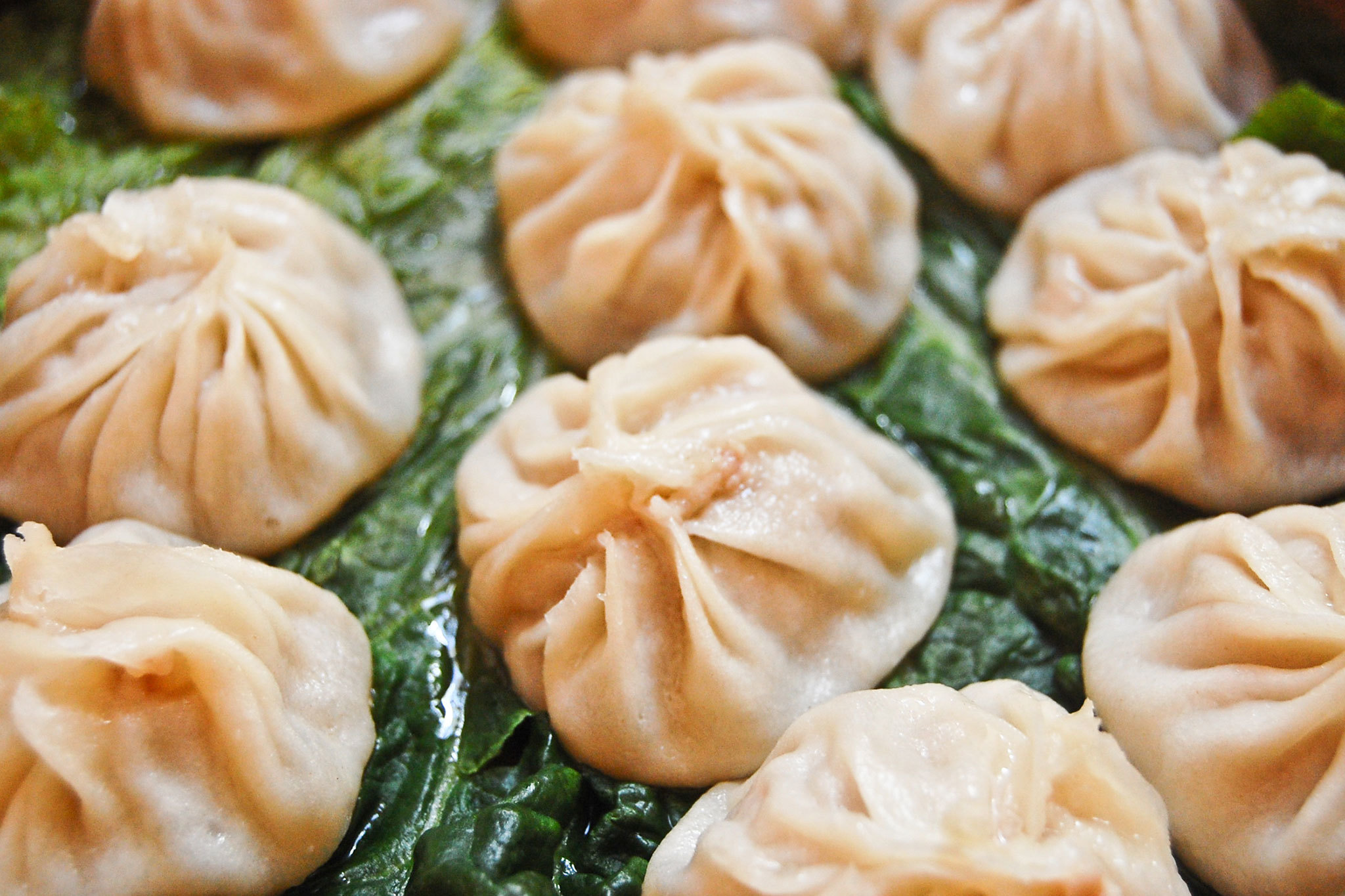 Shanghai Dumpling King | Restaurants in Outer Richmond, San Francisco