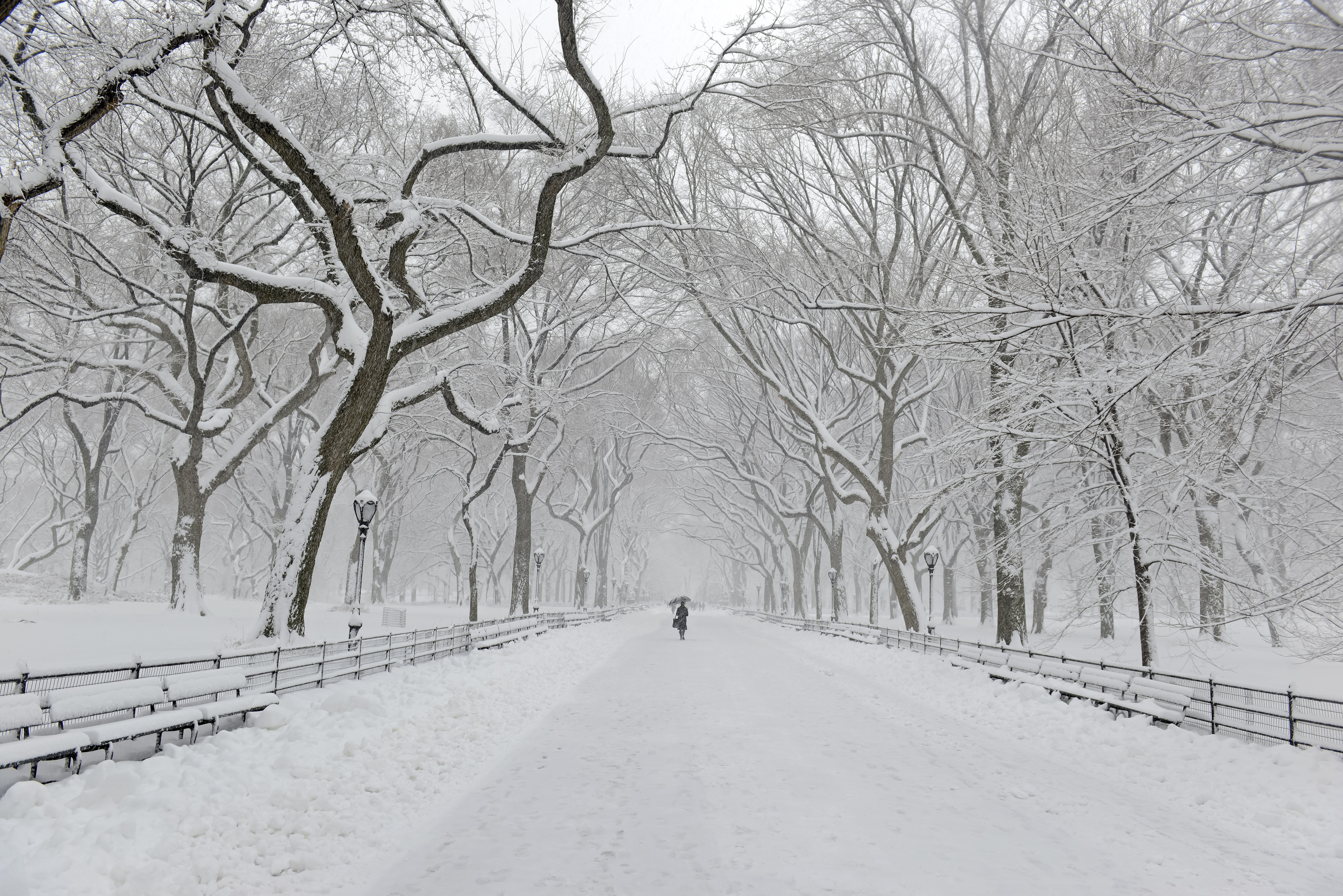 Cold outside, isn't it? Here's how to give to NYC's homeless.