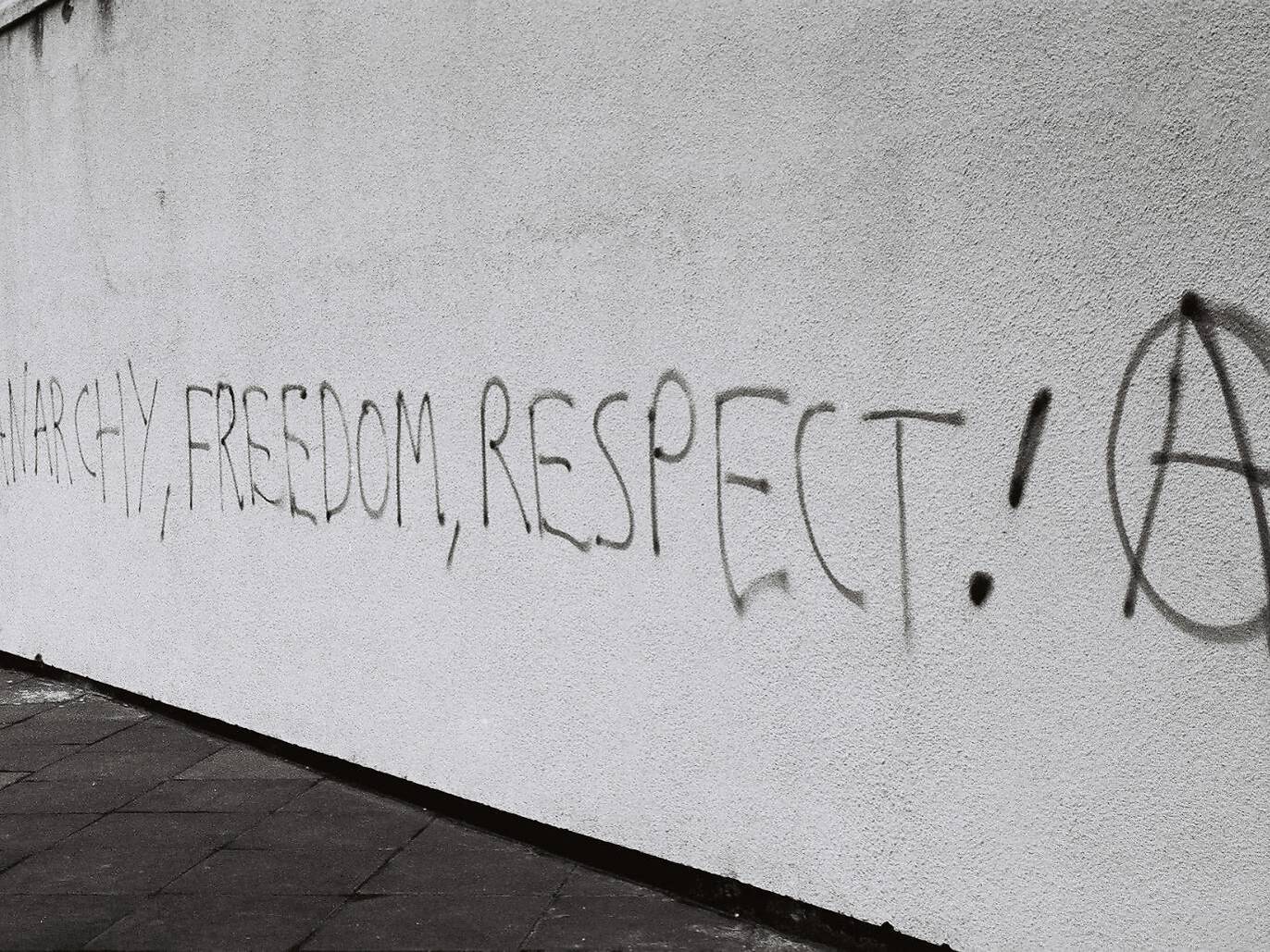 Beezer Wild Dayz images - Bristol photography -Time Out Bristol