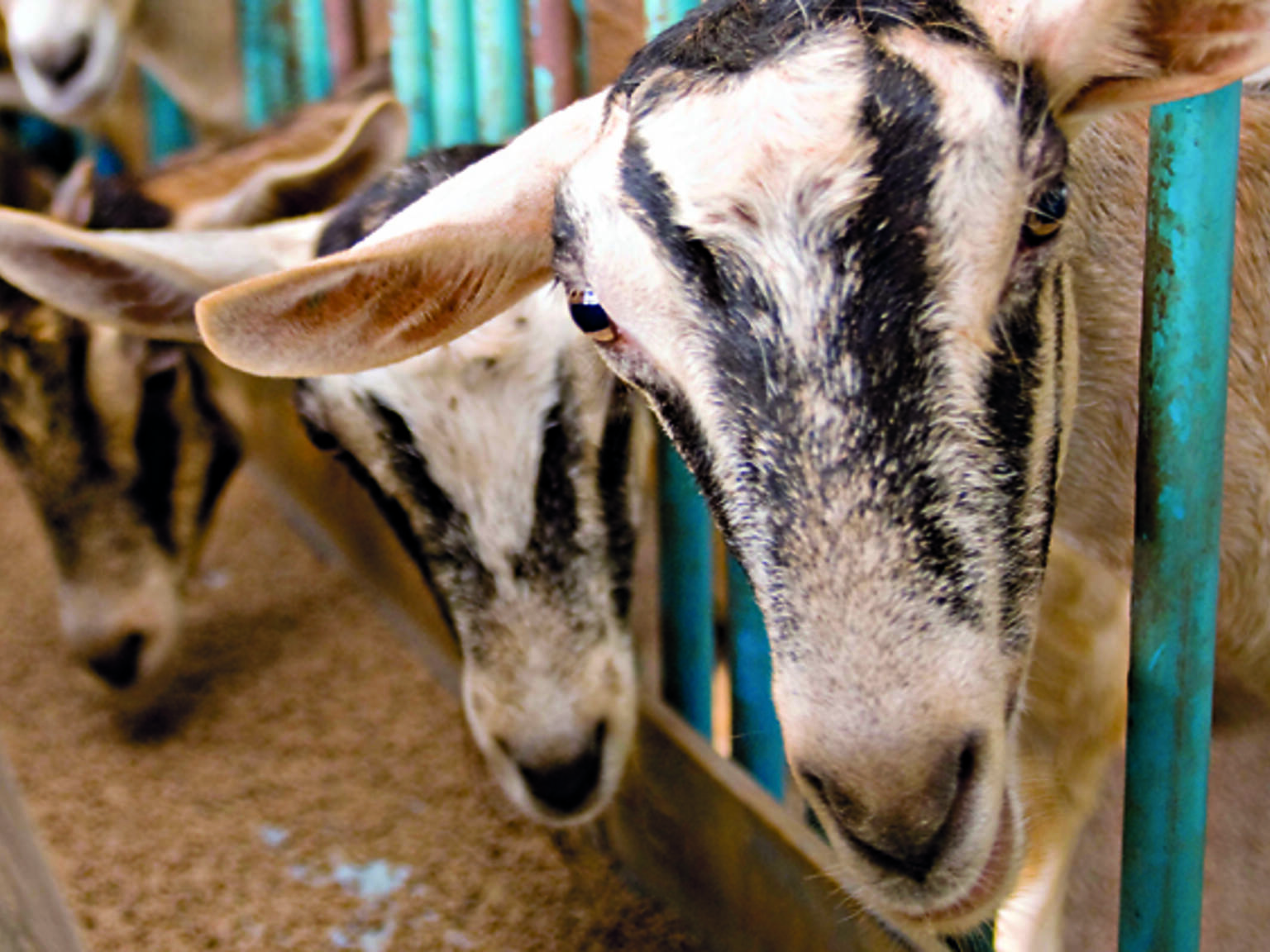 Kranji Guide: Best Things To Do, Eateries And Bars