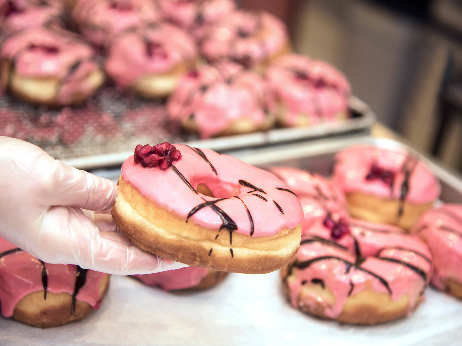 The Best Donuts in Boston: 11 Places to Find These Sweet Treats