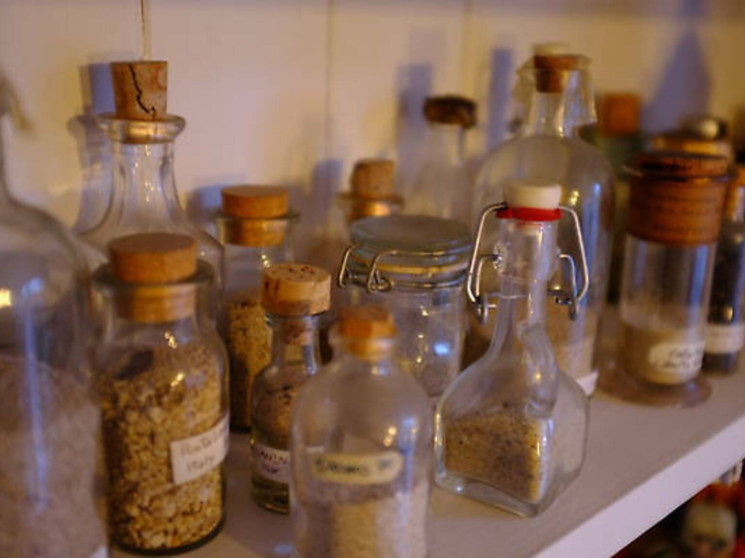 15 Londoners share their bizarre collections – Art in London – Time Out Art