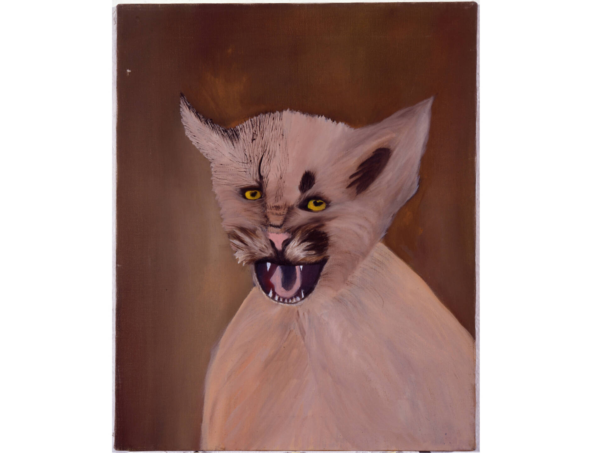 'Magnificent Obsessions': artist interviews – Magnificent Obsessions ...