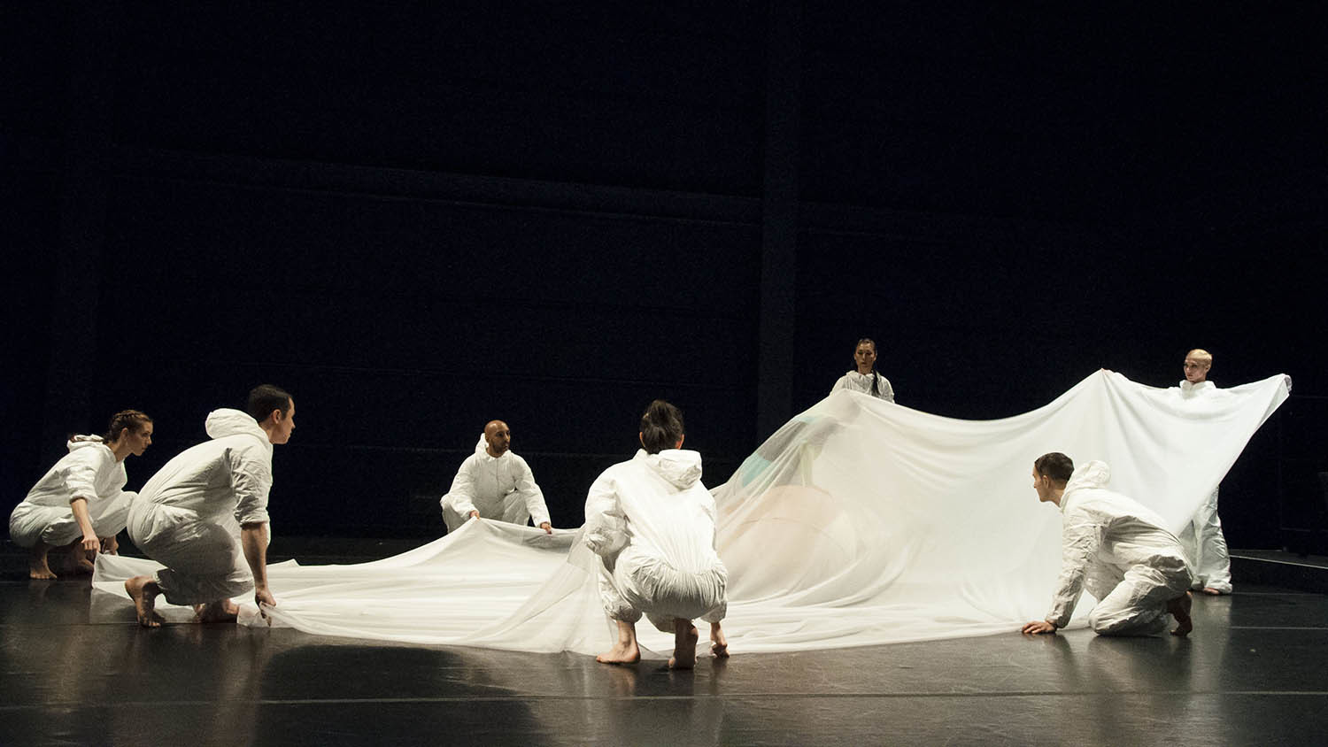 Douglas Dunn & Dancers at the BAM Fisher (slide show)