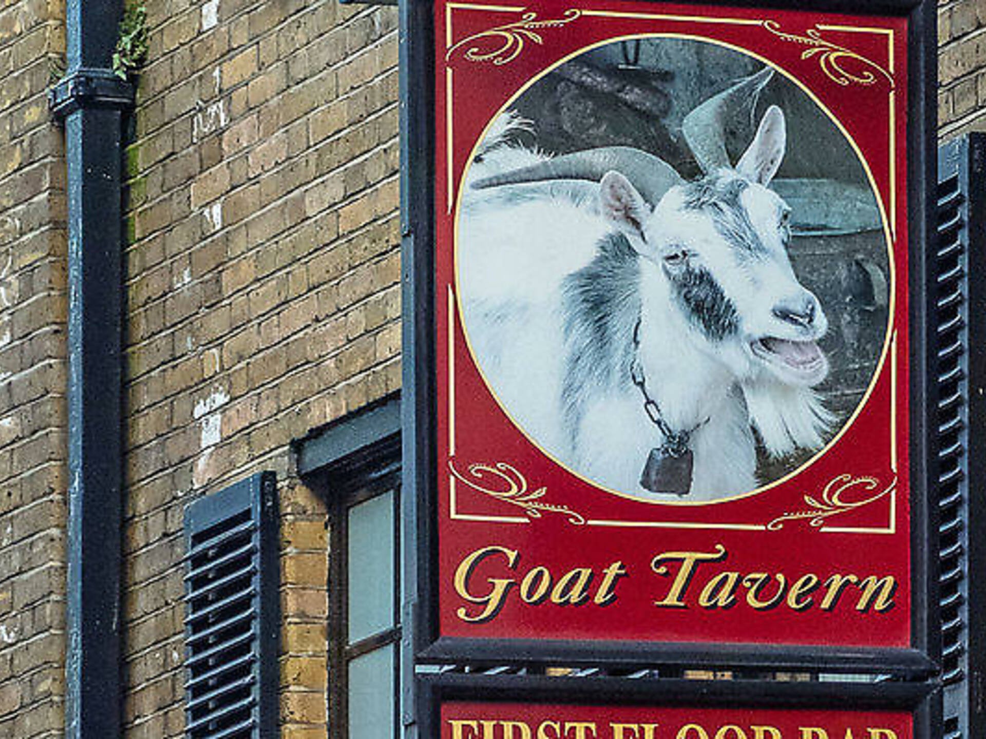 16 pictures of sheep and goats chilling in London
