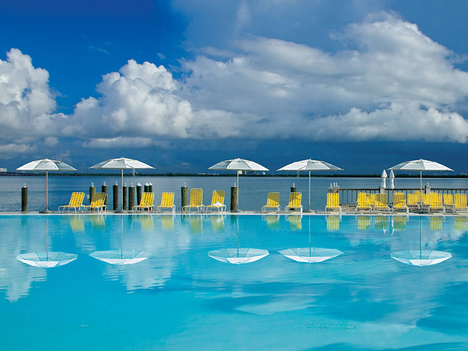 19 Best Swimming Pools in Miami to Sunbathe, Sip, Splash and Party