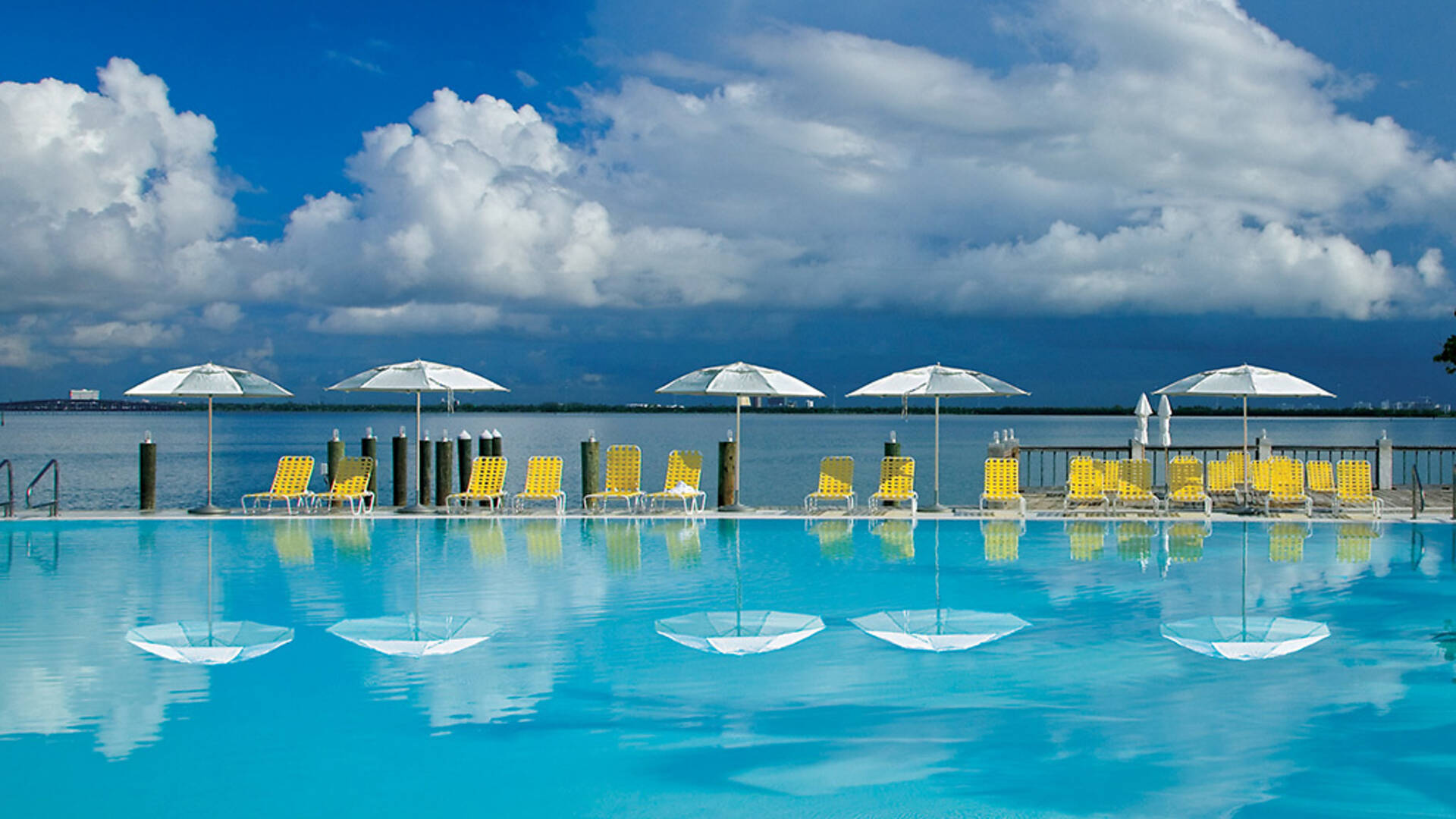 19 Best Swimming Pools in Miami to Sunbathe, Sip, Splash and Party