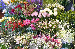 Five of the best florists in Edinburgh