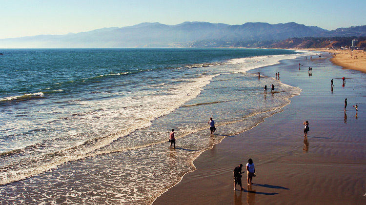 Best Beaches in Los Angeles to Surf, Swim and Play