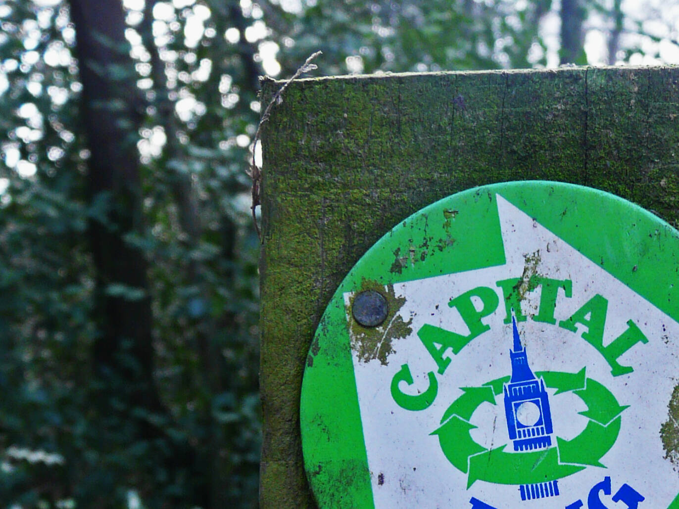 Walking the Capital Ring – a 70-mile self-guided walk around London