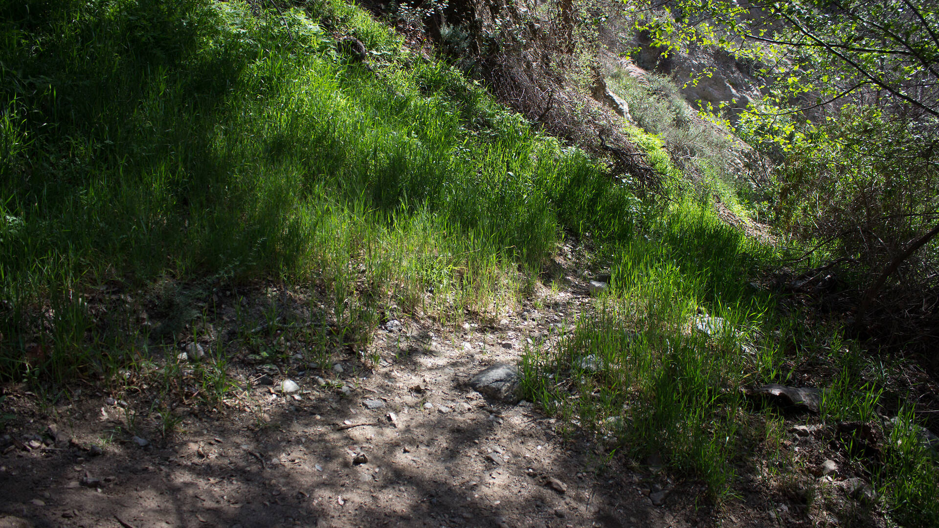 Eaton Canyon Falls has a shortcut. Here’s how to reach the trail.