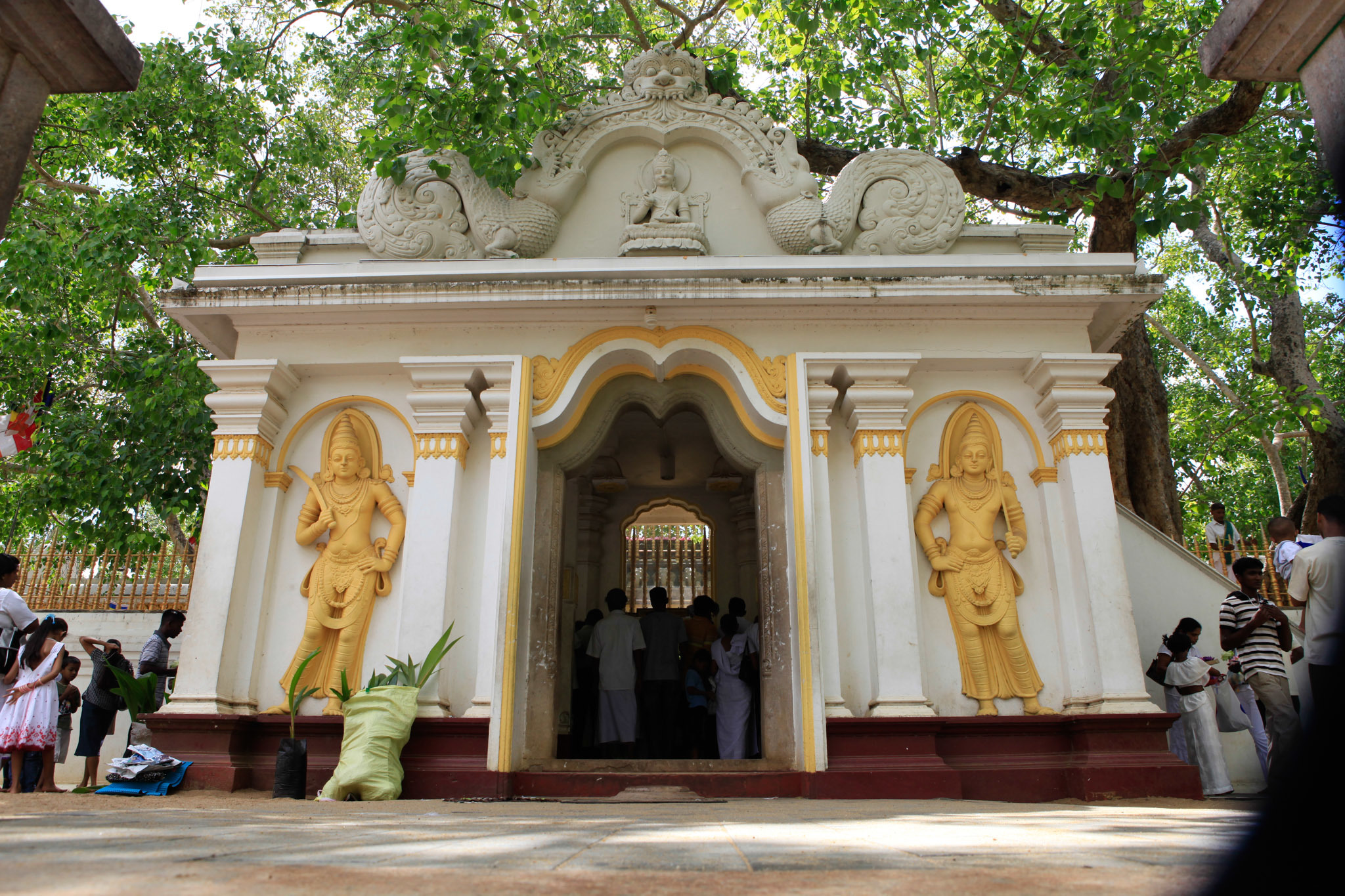 Sri Maha Bodhiya | Attractions in Anuradhapura, Sri Lanka