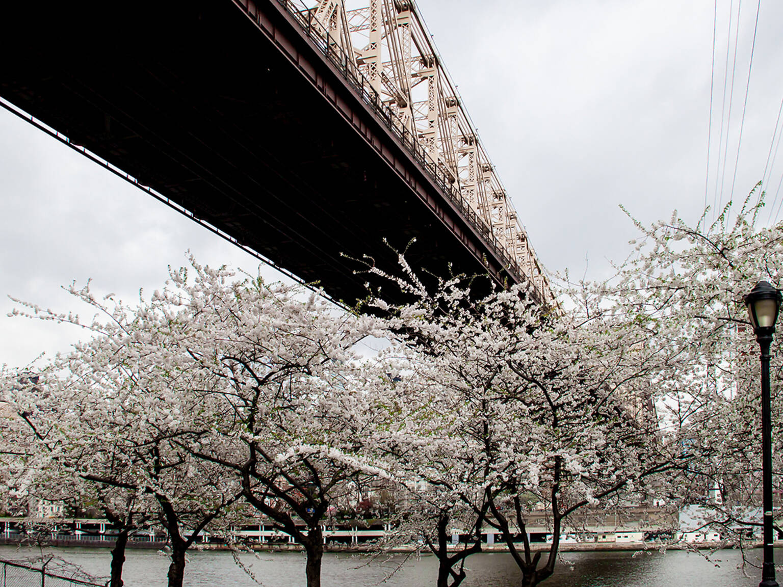 Prepare to swoon at these 20 beautiful photos of NYC in spring