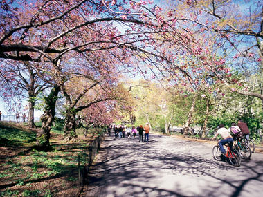 Prepare to swoon at these 20 beautiful photos of NYC in spring